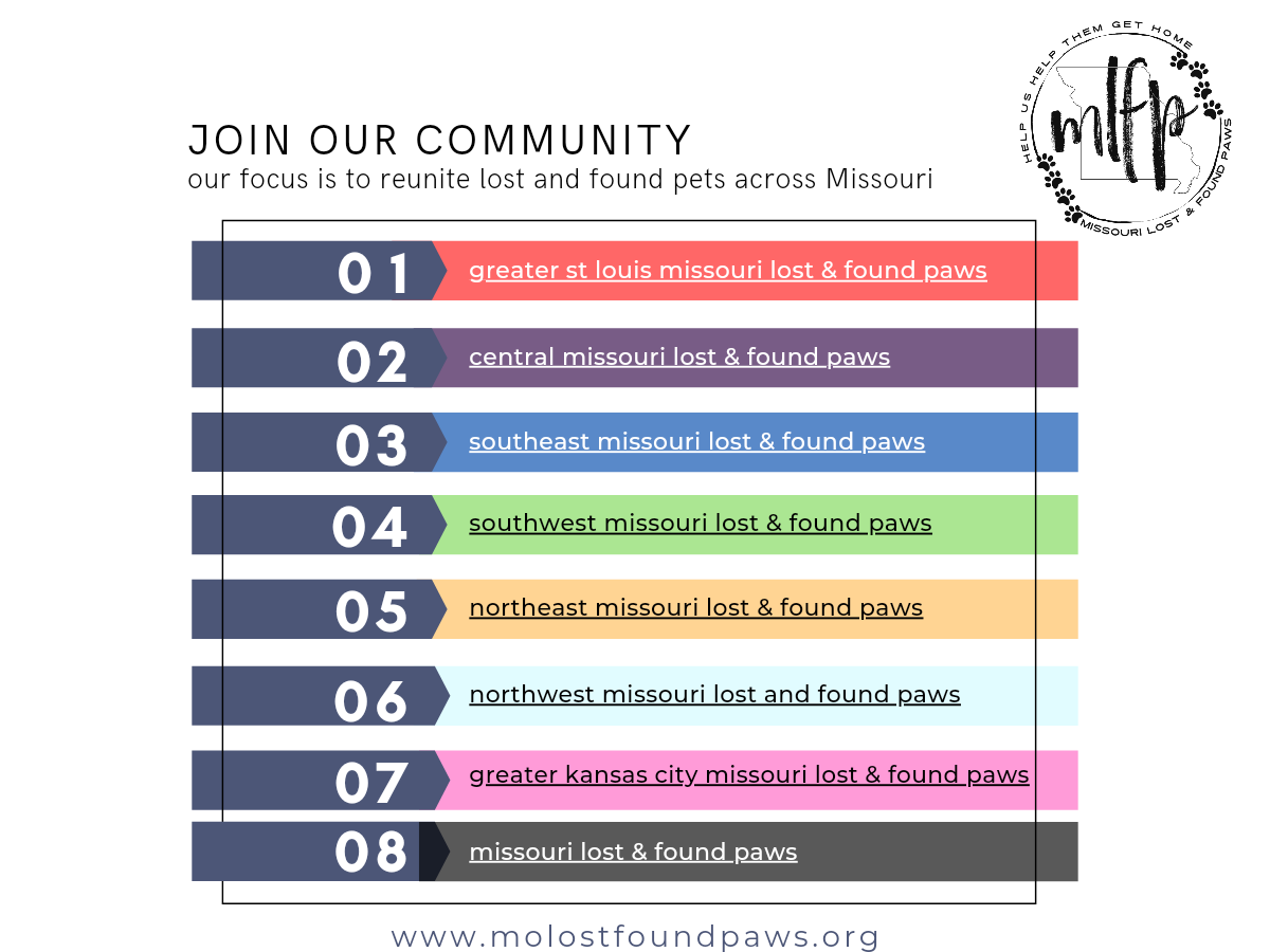 Welcome to Missouri Lost & Found Paws ~ Missouri Lost & Found Paws