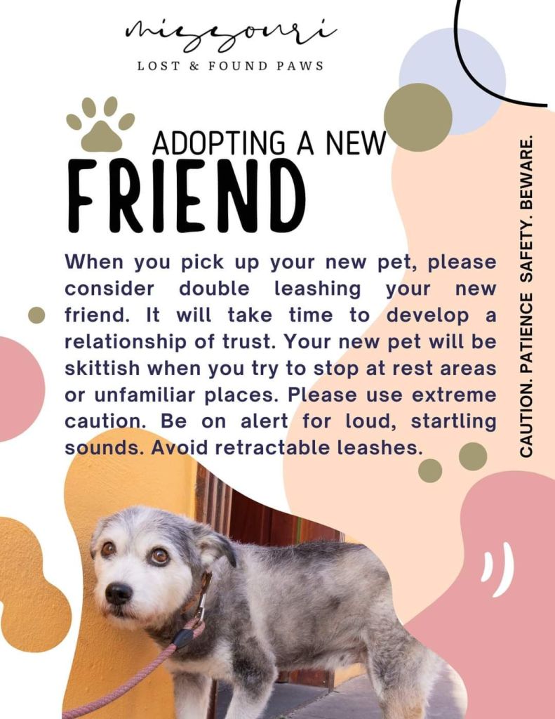 Adopting a new friend? ~ Missouri Lost & Found Paws